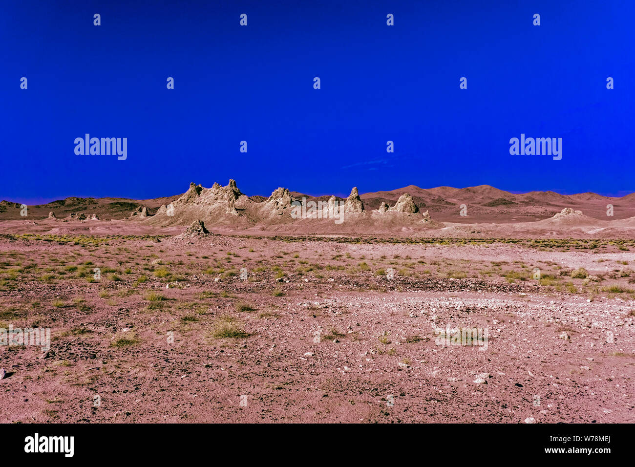 Barren Wasteland