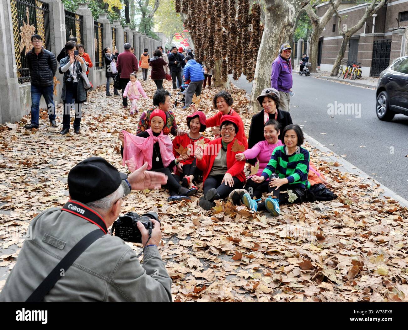 Chinese pedestrians take photos during a fallen leaves art show on ...