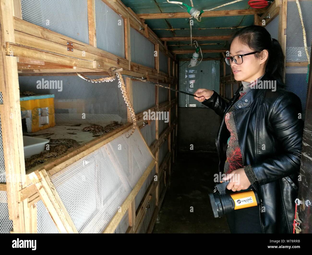 Venomous snakes hi-res stock photography and images - Alamy