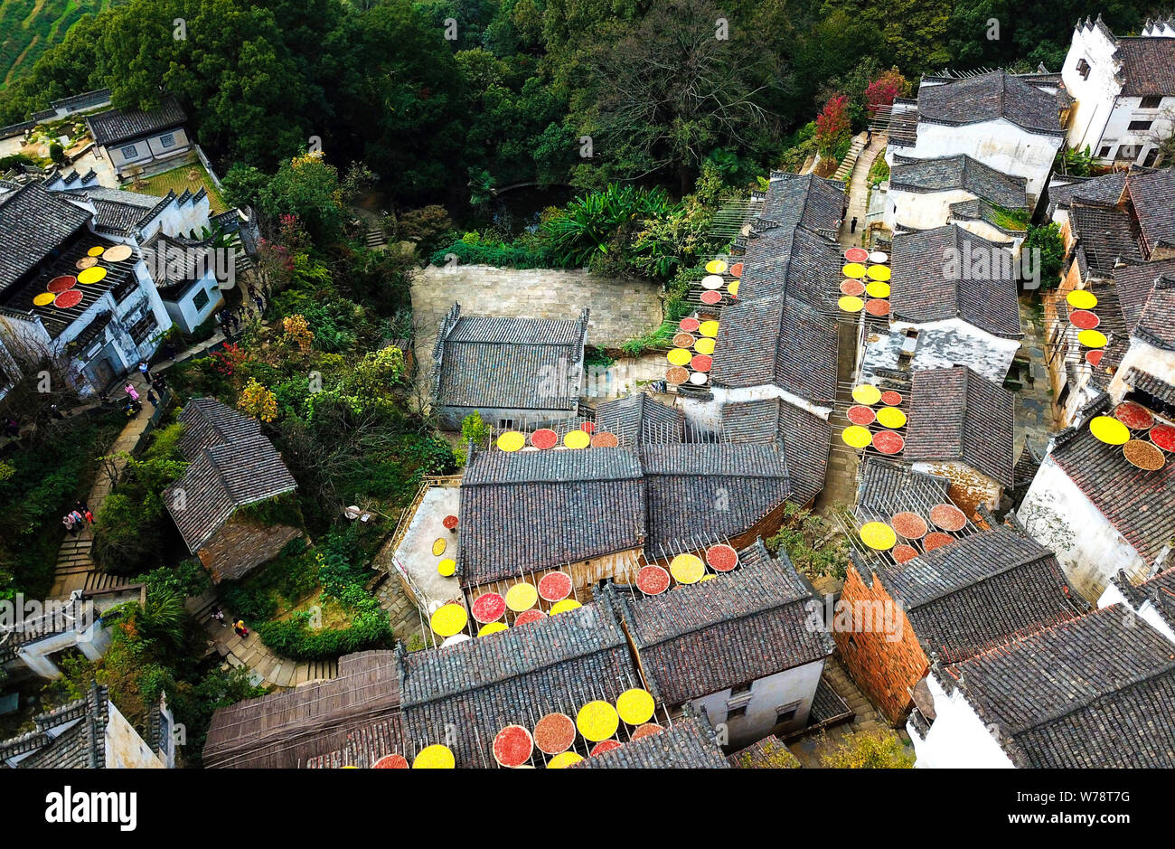 Sun drying seeds hi-res stock photography and images - Alamy