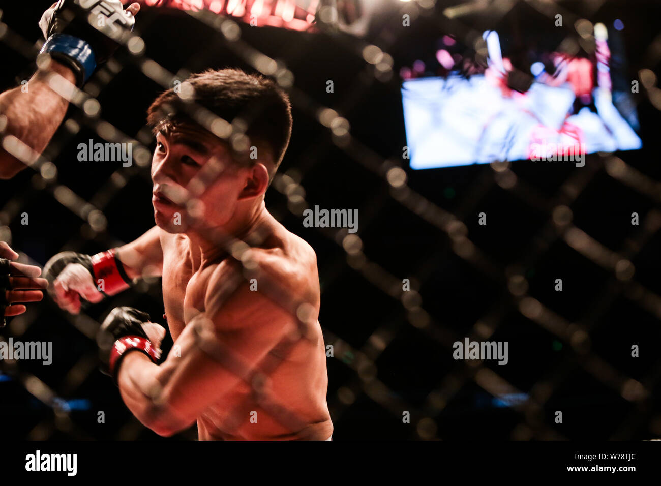 Chinese mixed martial artist Song Yadong hits Indian mixed martial ...