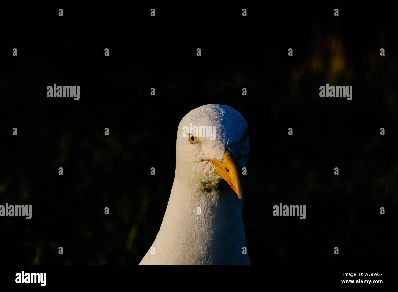 Looking Straight Down High Resolution Stock Photography and Images - Alamy