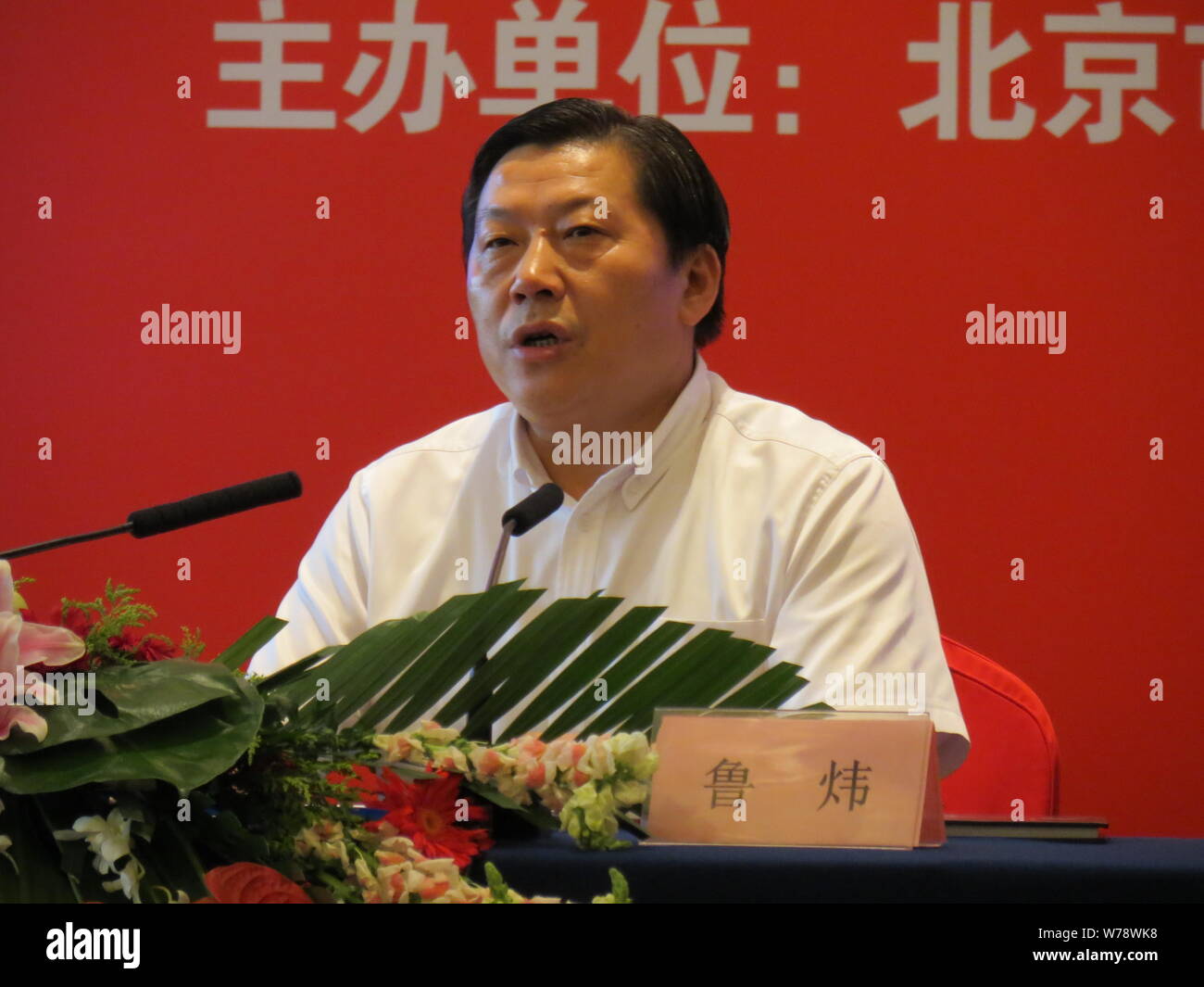 --FILE--Lu Wei, former deputy head of the Publicity Department of the ...