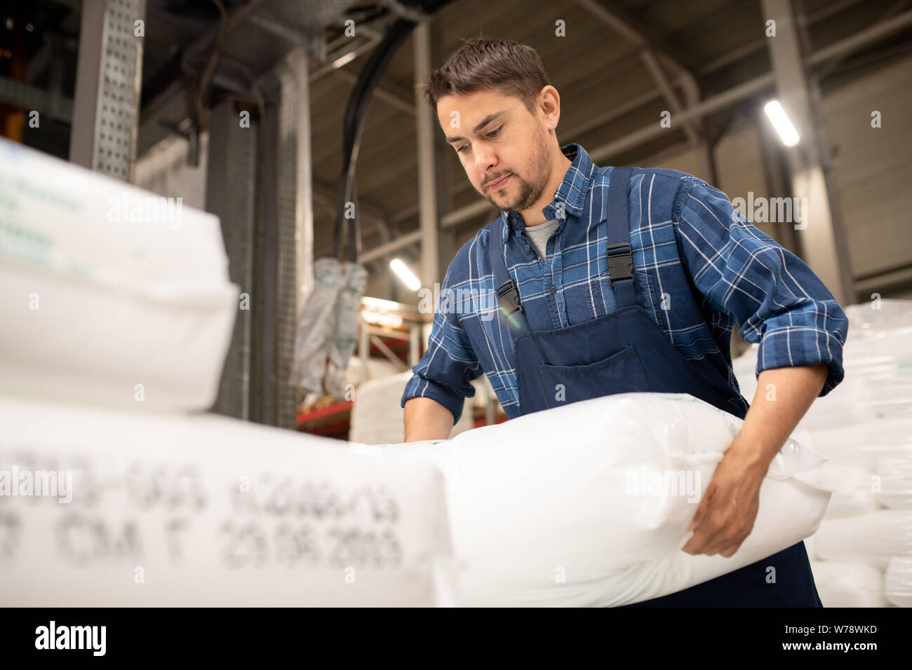 Young worker of polymer production factory loading sacks with plastic ...