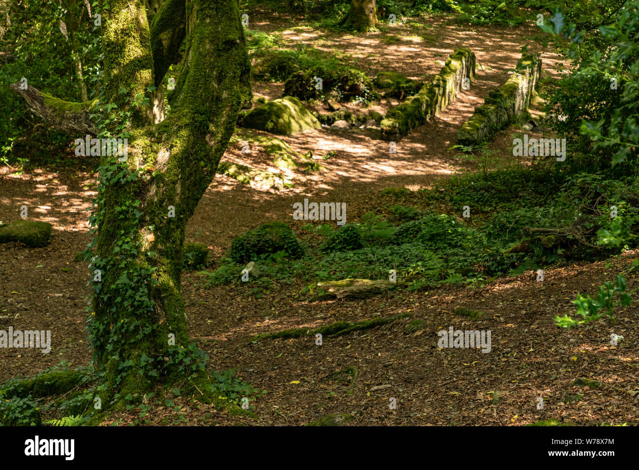Barna galway hi-res stock photography and images - Alamy