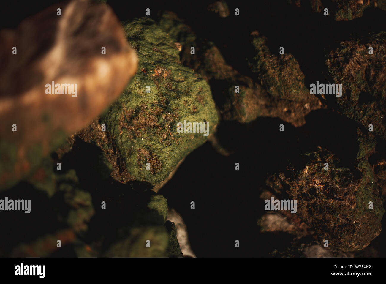 Sea structure hi-res stock photography and images - Alamy