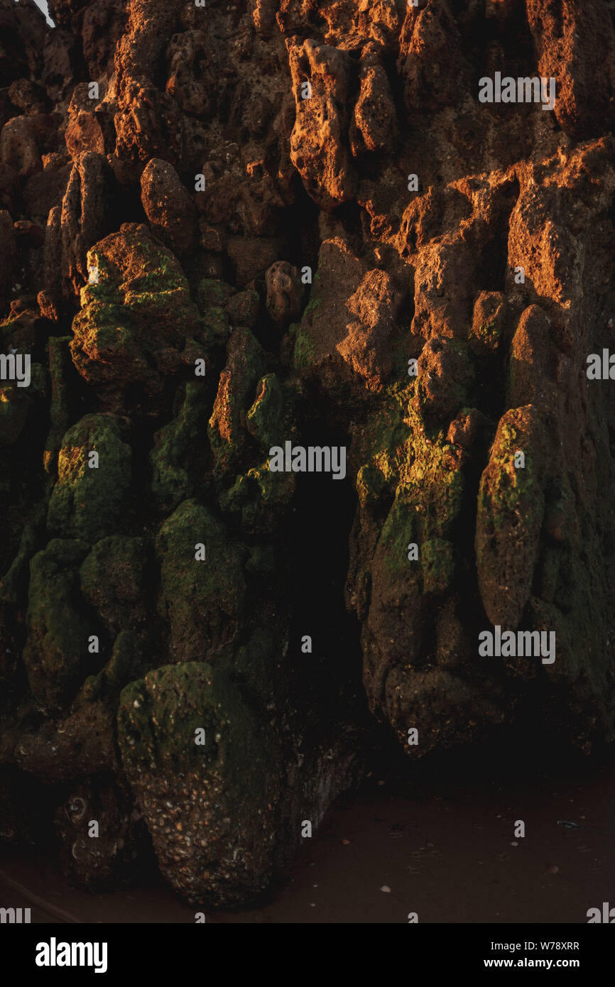 Close up of a sea structure of a lot of sea rocks with sea accorn and ...