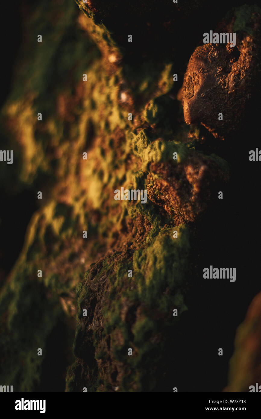 Sea structure hi-res stock photography and images - Alamy