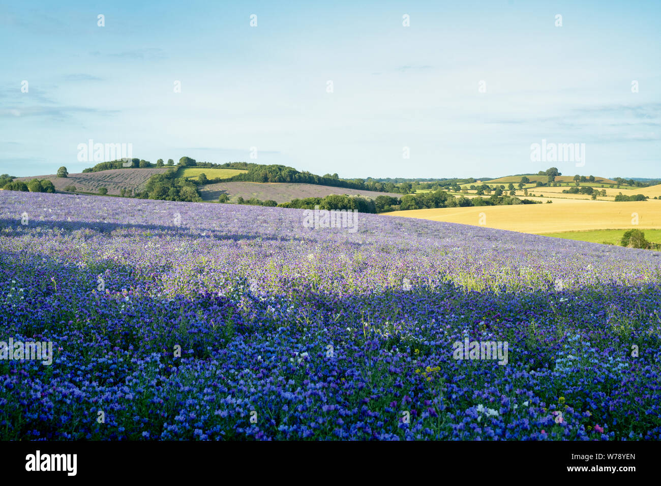 Swalcliffe oxfordshire england uk hi-res stock photography and images ...