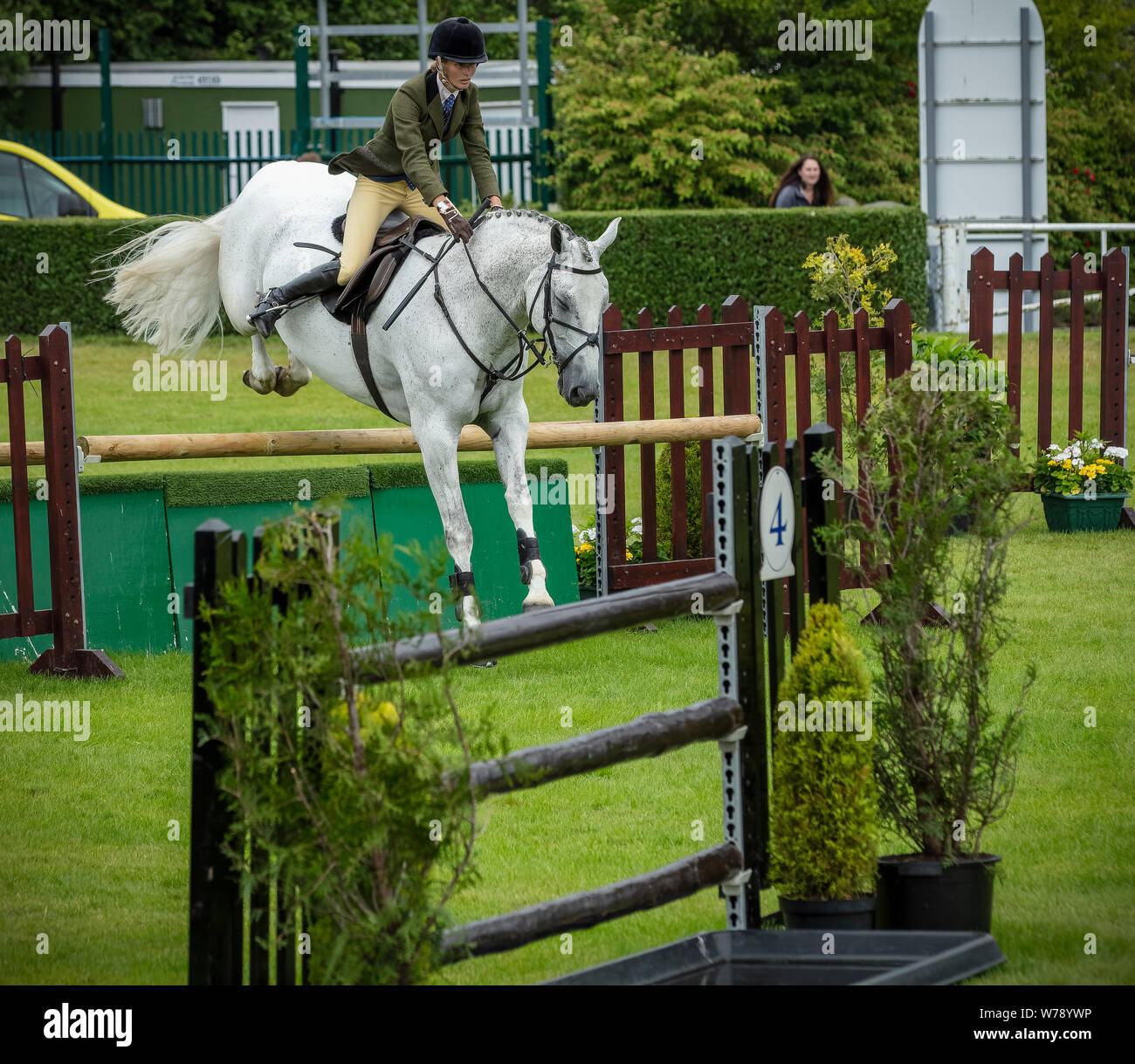 Show jumping great yorkshire show hi-res stock photography and images ...