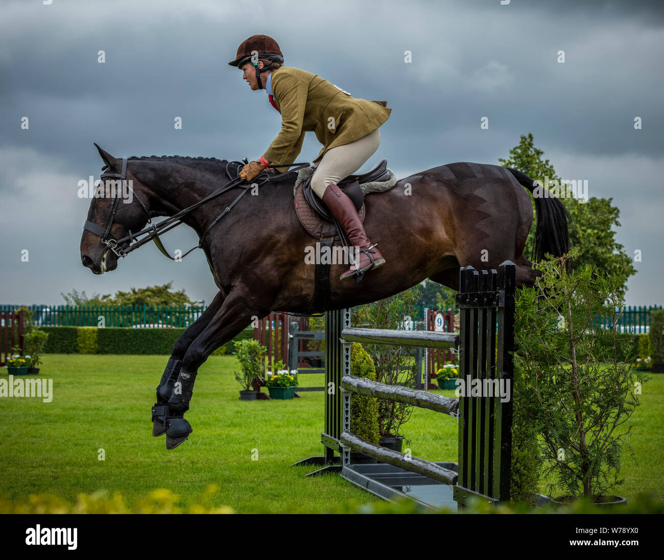Show jumping at the Great Yorkshire Show Stock Photo - Alamy
