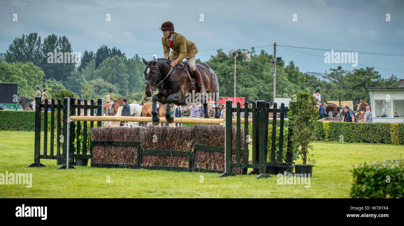 Show Jumping at the Great Yorkshire Show Stock Photo - Alamy