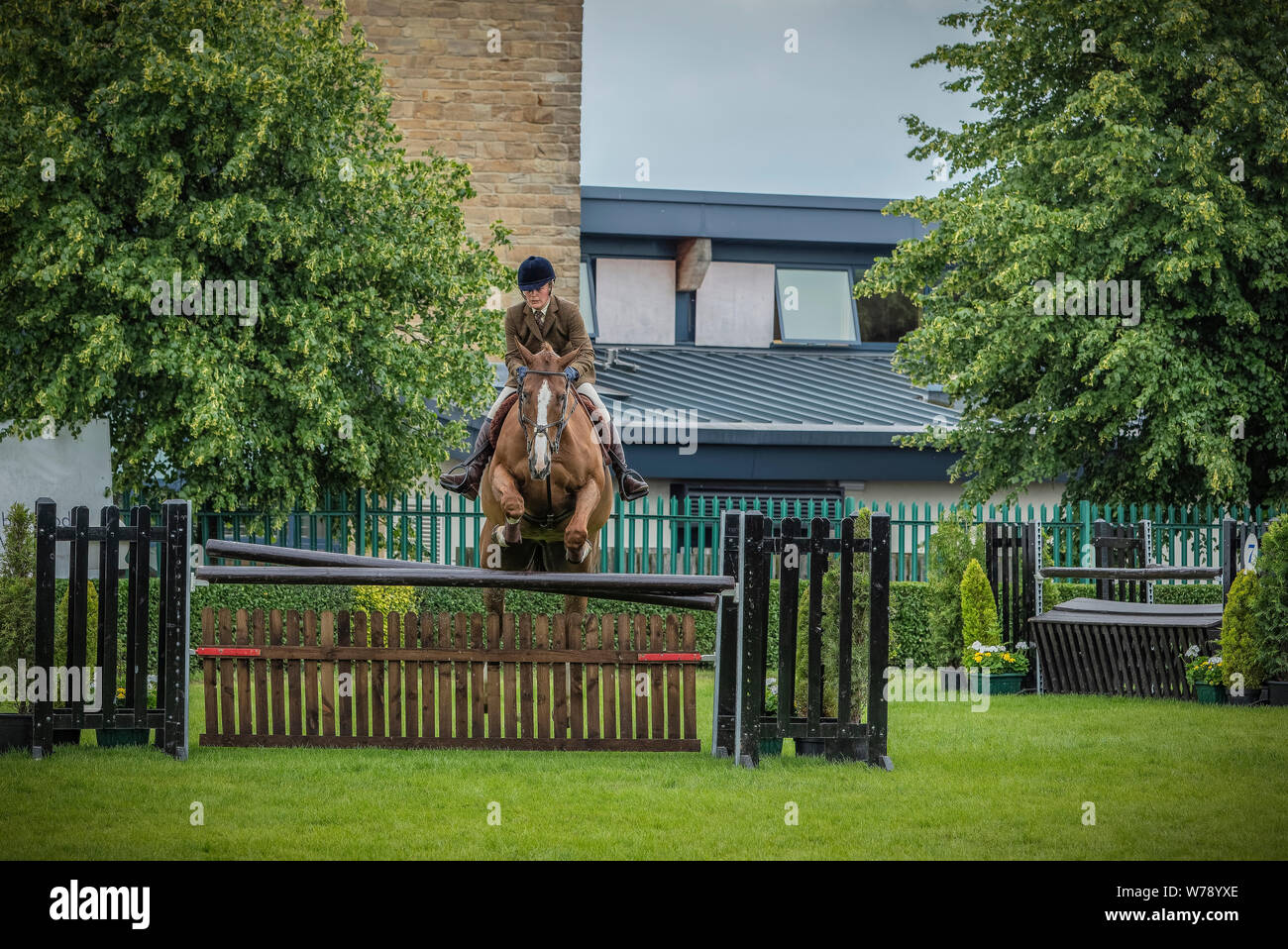 Show jumping great yorkshire show hi-res stock photography and images ...