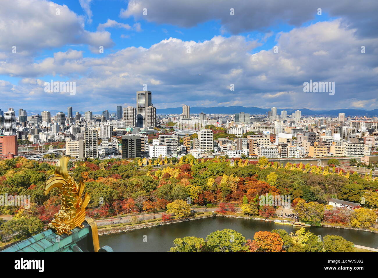The beautiful autumn foliage of gingko trees and maple trees with a ...