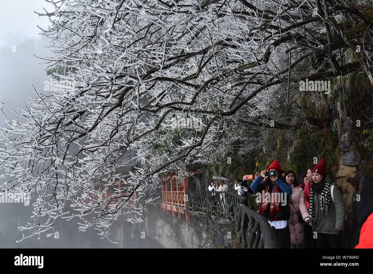 Tourists enjoy rime-covered trees on Tianmen Mountain (or Tianmenshan ...