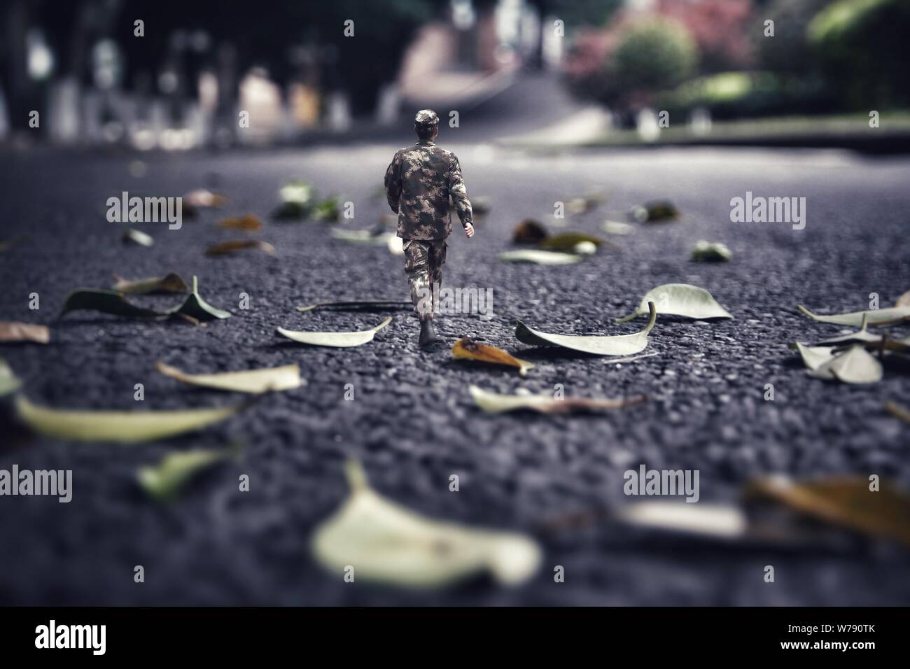 Military discharge hi-res stock photography and images - Alamy