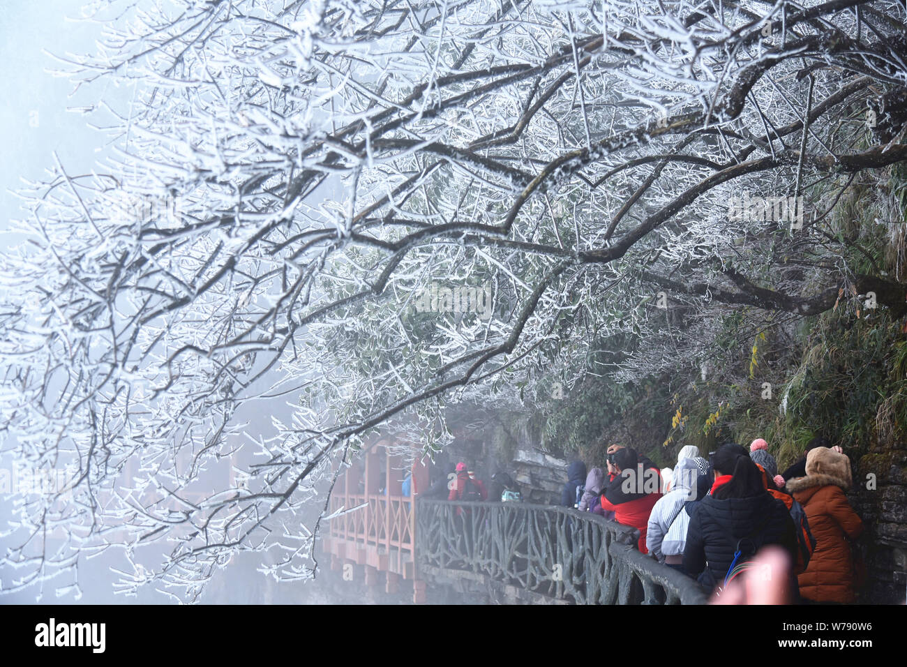 Tourists enjoy rime-covered trees on Tianmen Mountain (or Tianmenshan ...
