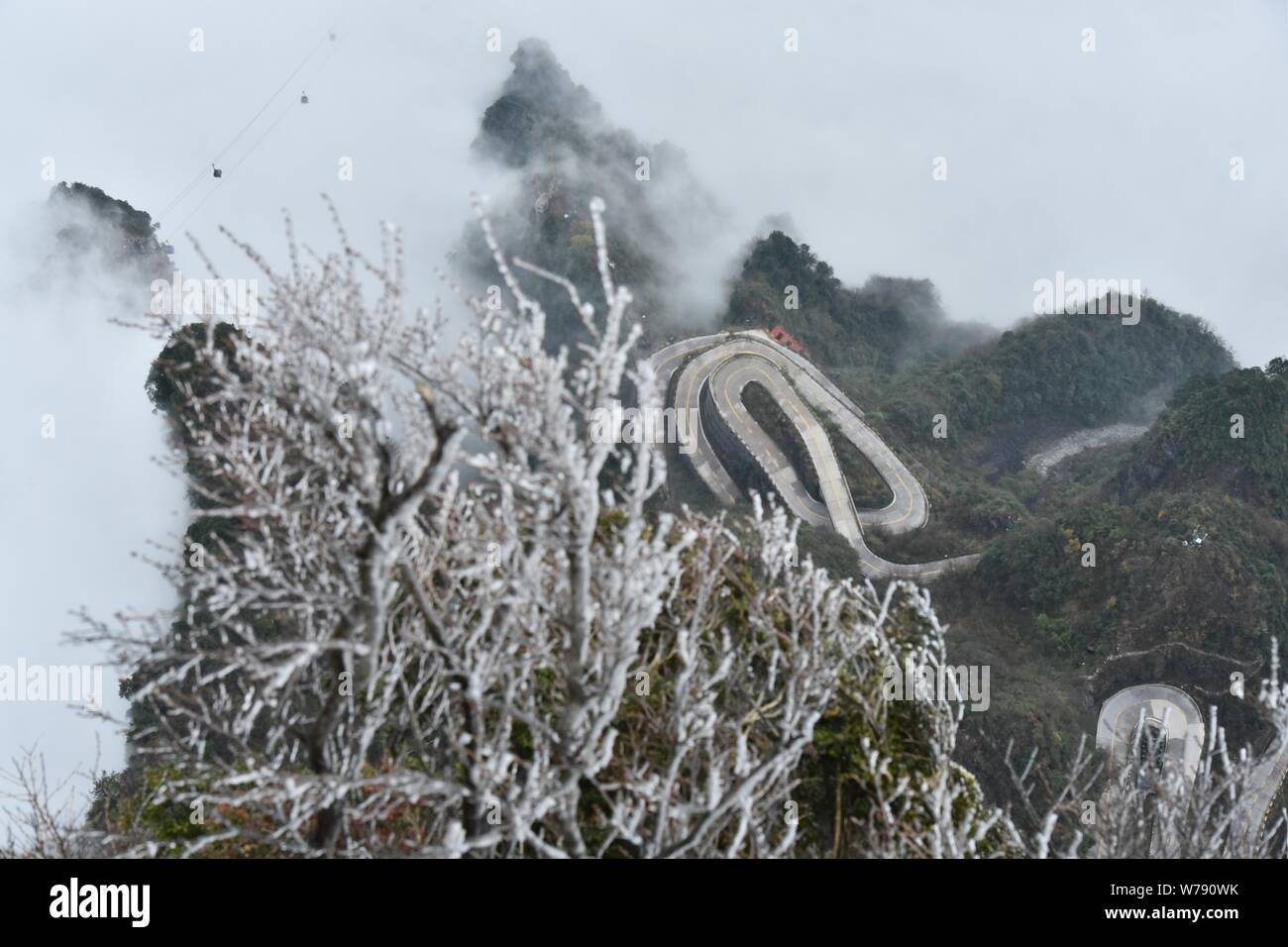 View of rime-covered trees on Tianmen Mountain (or Tianmenshan Mountain ...