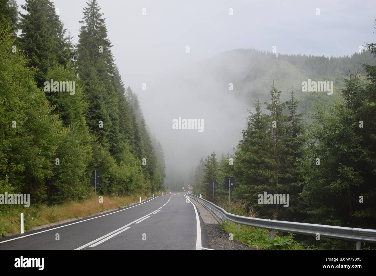 Road behind a cloud in a forest Stock Photo - Alamy
