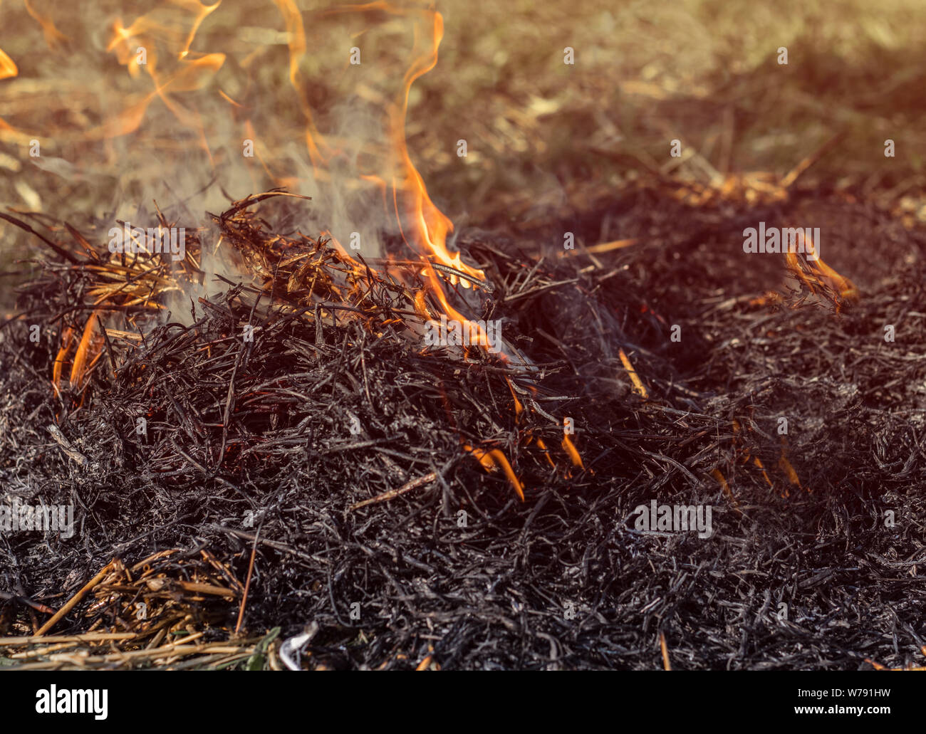 Hay burning hi-res stock photography and images - Alamy