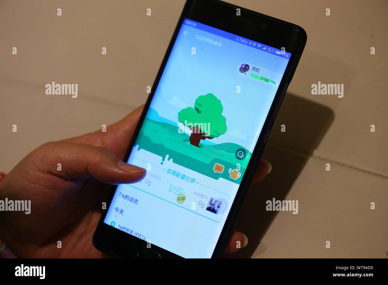 Alibaba ant forest hi-res stock photography and images - Alamy