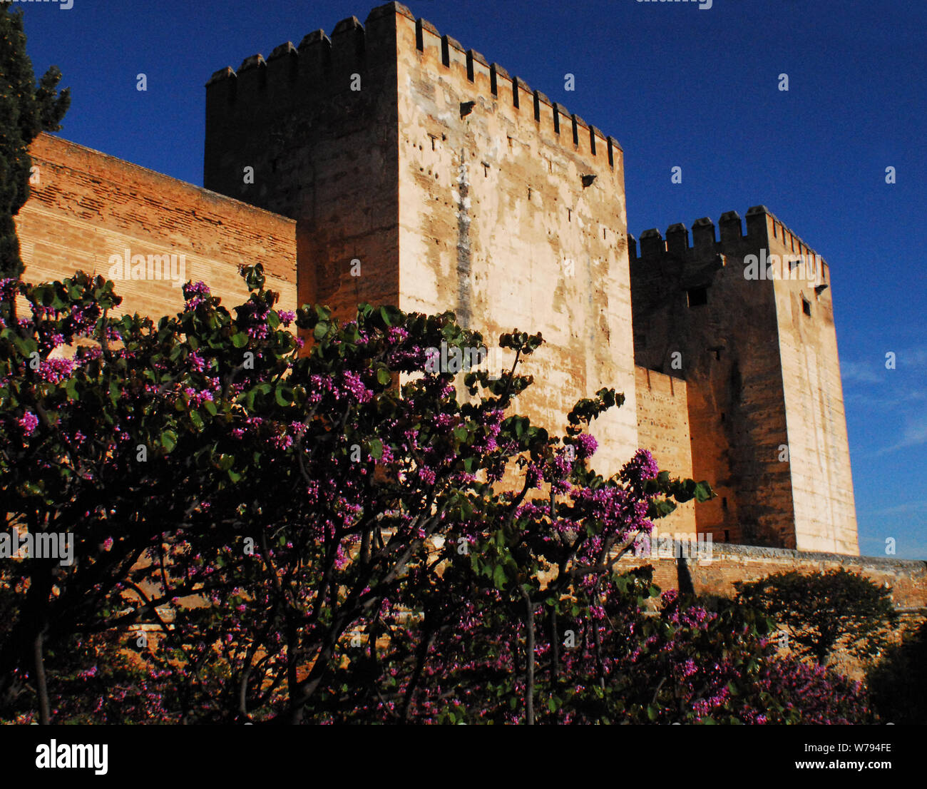 A wonderful view from near the entrance to the famous Alhambra Palace ...