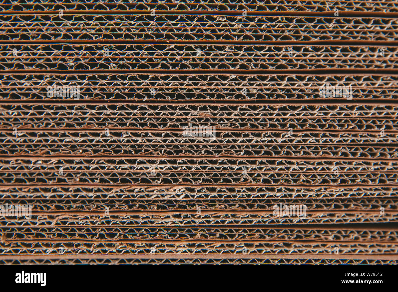 Corrugated Cardboard Texture