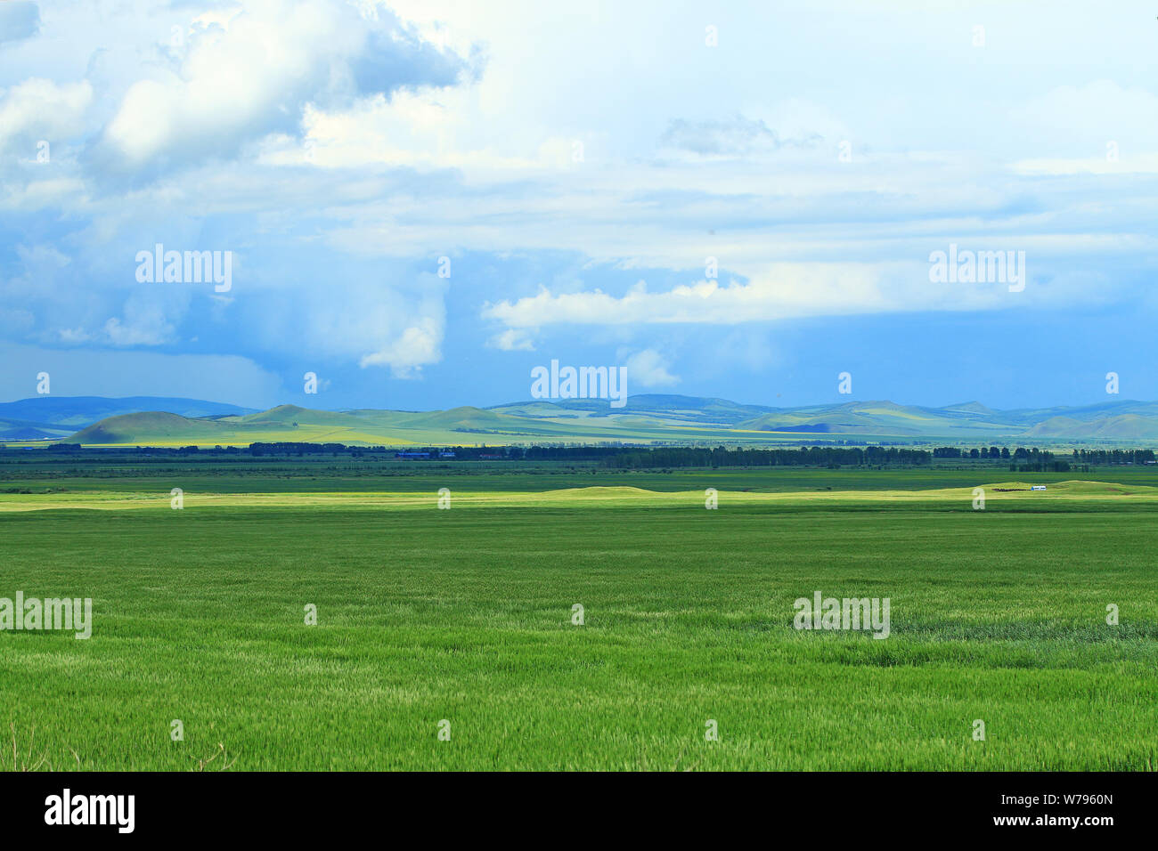 Landscape of the Hulunbuir Grassland in north China's Inner Mongolia ...