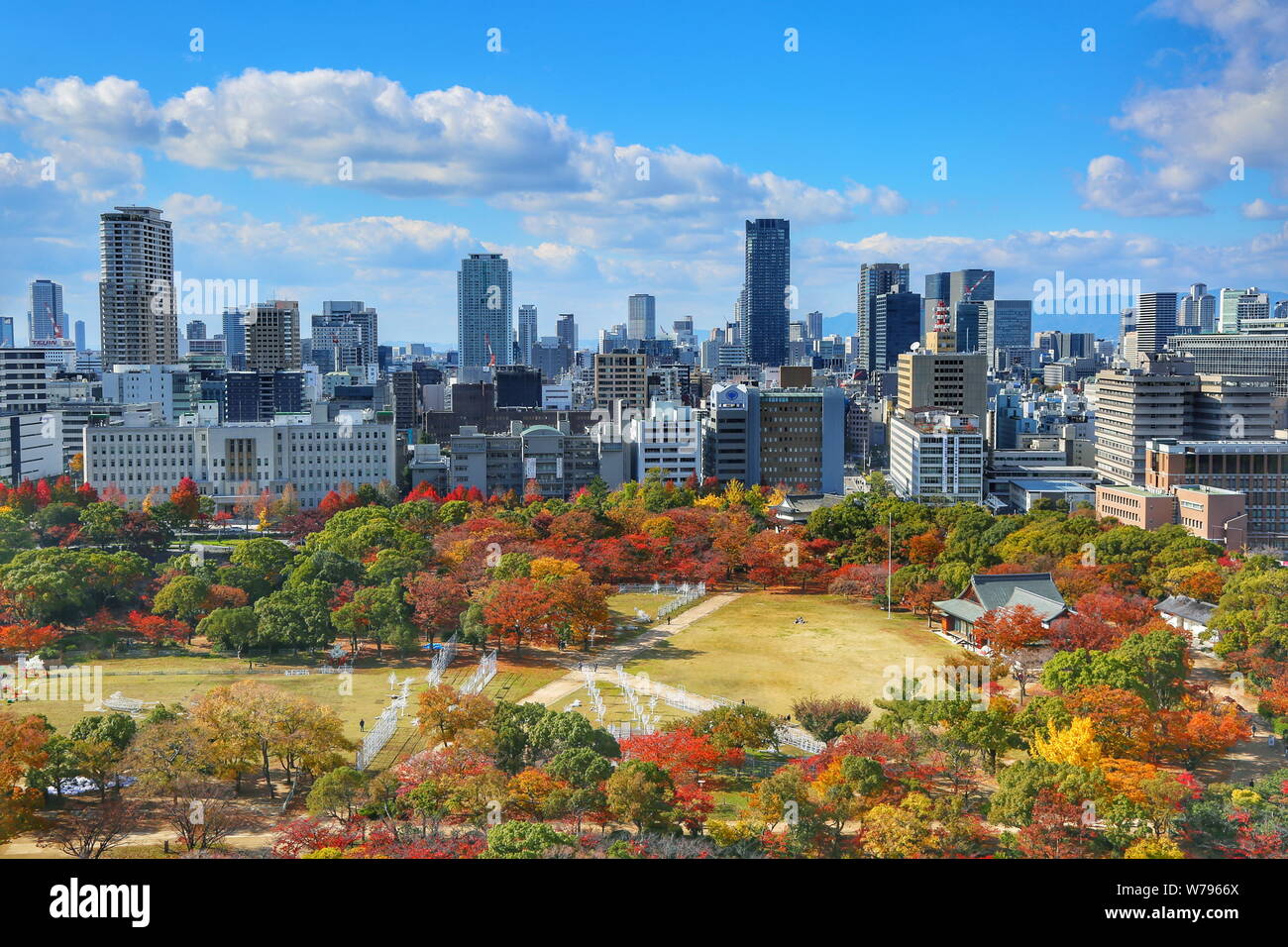 The beautiful autumn foliage of gingko trees and maple trees with a ...