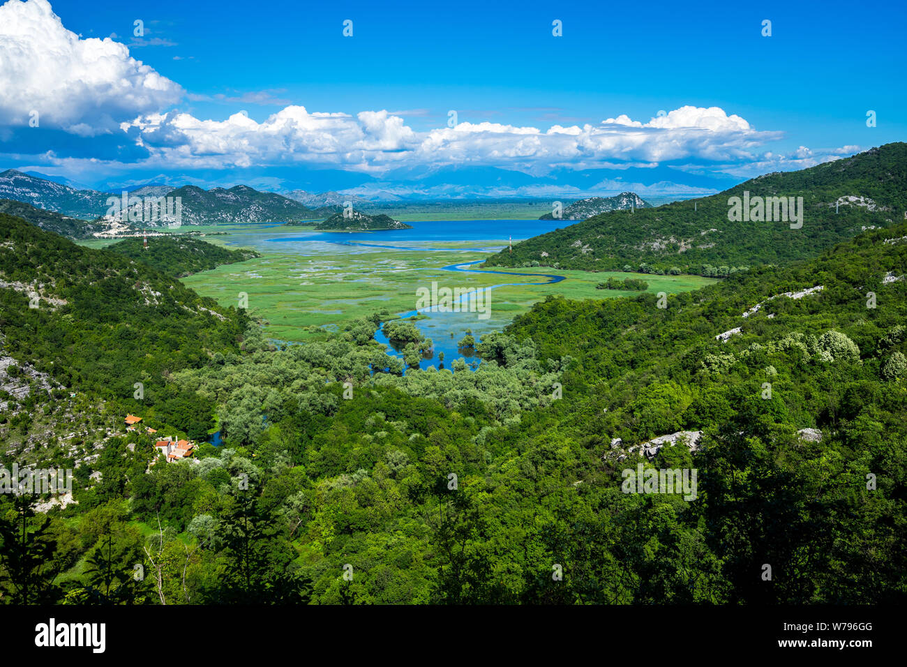 Montenegro, Spectacular green nature landscape of skadar lake national ...