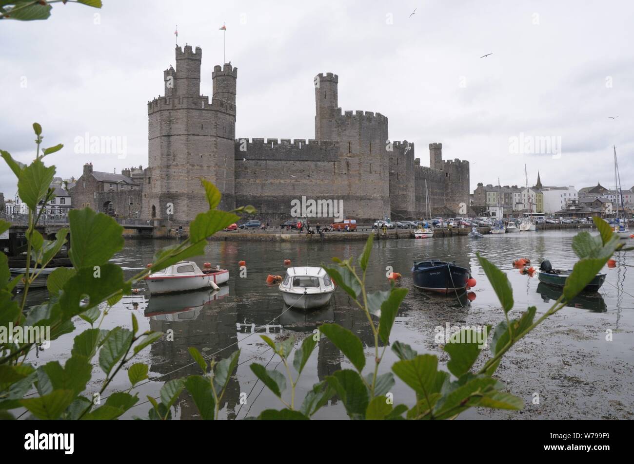Caernarfon Castle, Caernarfon, Gwynedd, Wales, UK Stock Photo - Alamy
