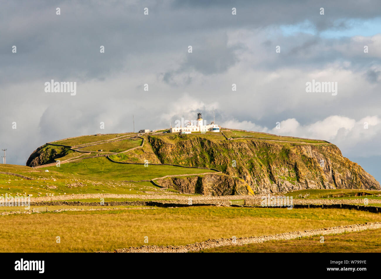 Evening light on Sumburgh head lighthouse, Shetland Stock Photo - Alamy