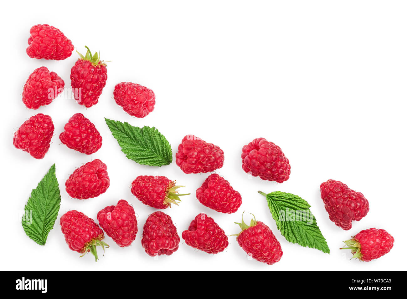 raspberries with leaves isolated on white background with copy space ...
