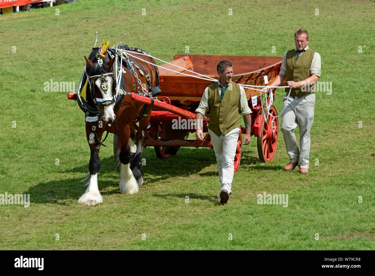 Owners of antique and vintage agricultural carts display them in the ...