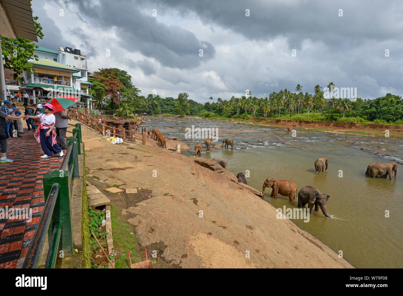 Mawanella hi-res stock photography and images - Alamy