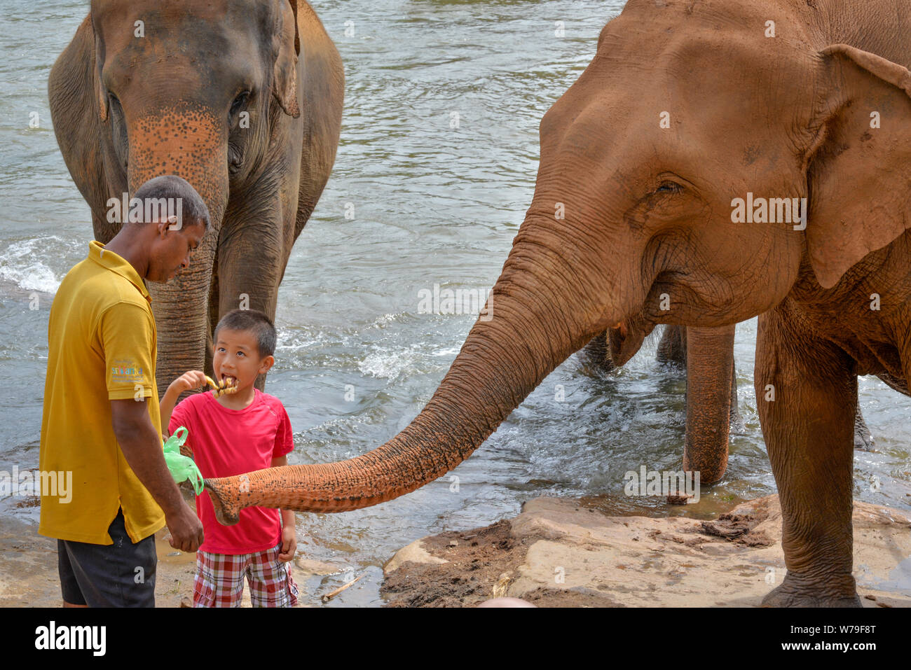 Mawanella hi-res stock photography and images - Alamy