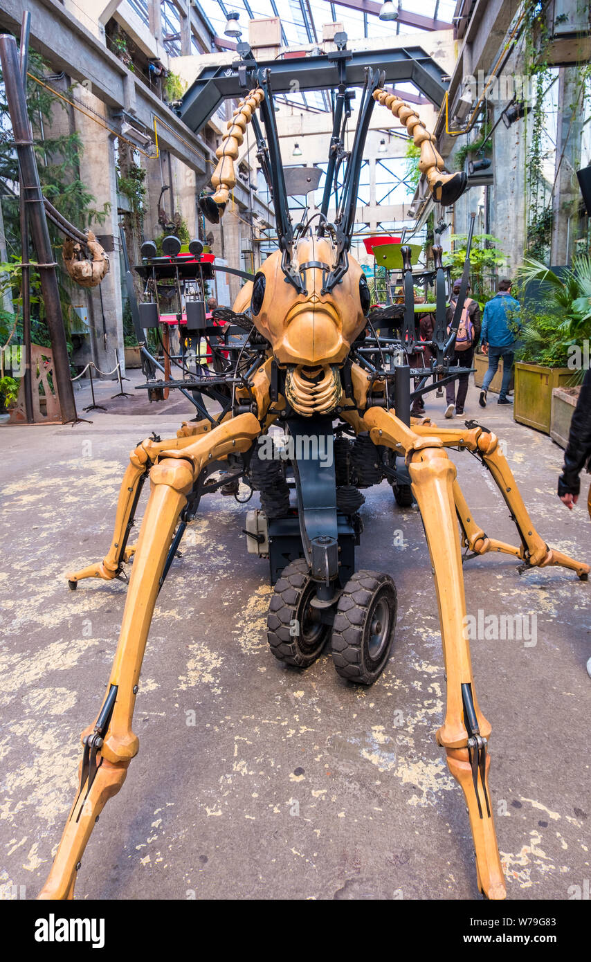 Giant Ant High Resolution Stock Photography and Images - Alamy