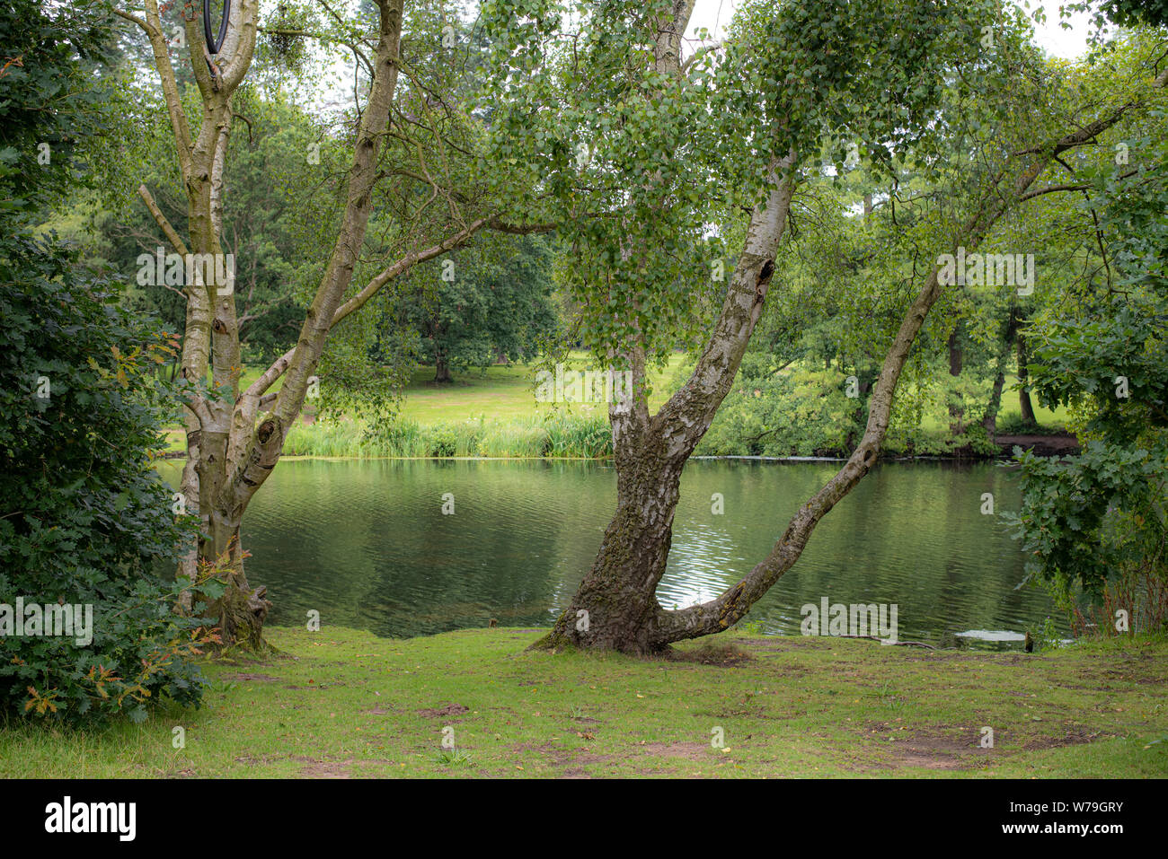 Leafy river hi-res stock photography and images - Alamy