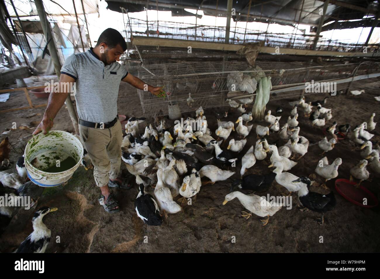Northern The Gaza Strip, The Gaza Strip, Palestine. 5th Aug, 2019. A ...