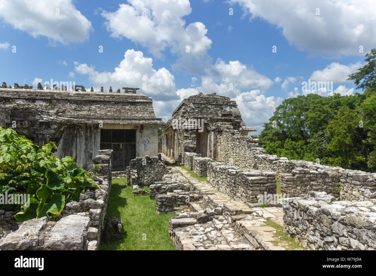 Palenque, Chiapas / Mexico - 21/07/2019: Detail of the archaeological ...