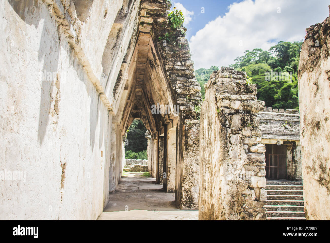 Palenque, Chiapas / Mexico - 21/07/2019: Detail of the archaeological ...