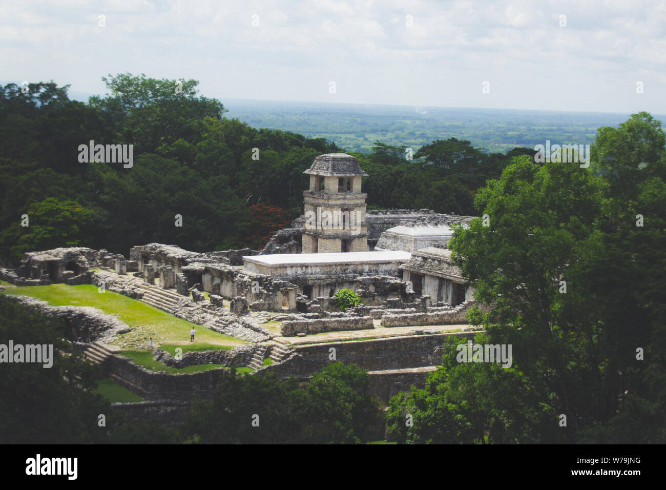 Palenque, Chiapas / Mexico - 21/07/2019: Detail of the archaeological ...