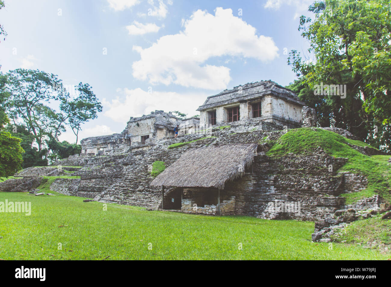 Palenque, Chiapas / Mexico - 21/07/2019: Detail of the archaeological ...