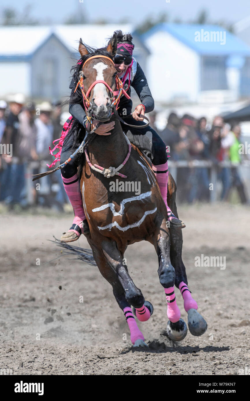 Indian Relay Races 2022 Alberta at Lorene Caplan blog