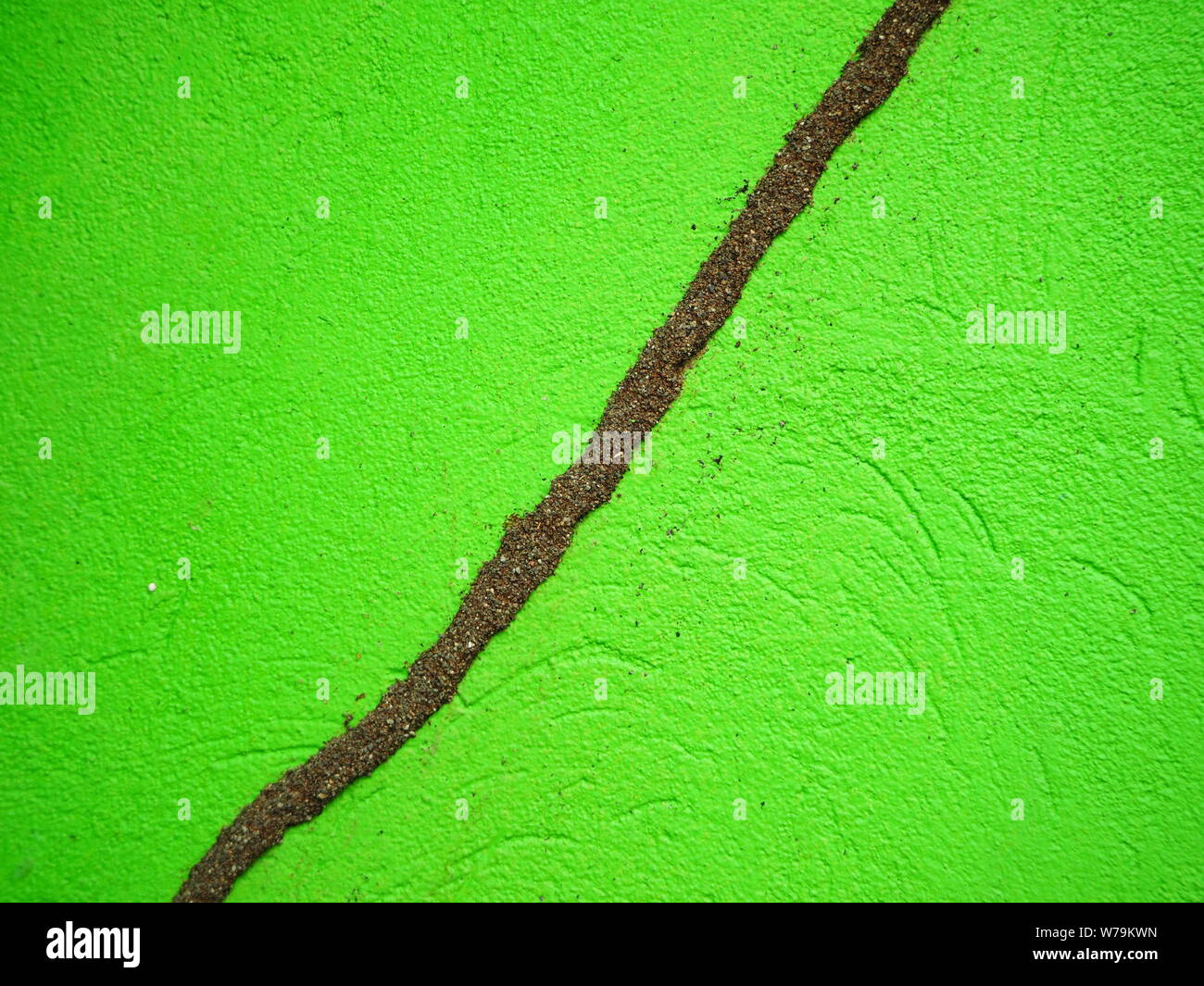 termites road on green concrete wall Stock Photo - Alamy