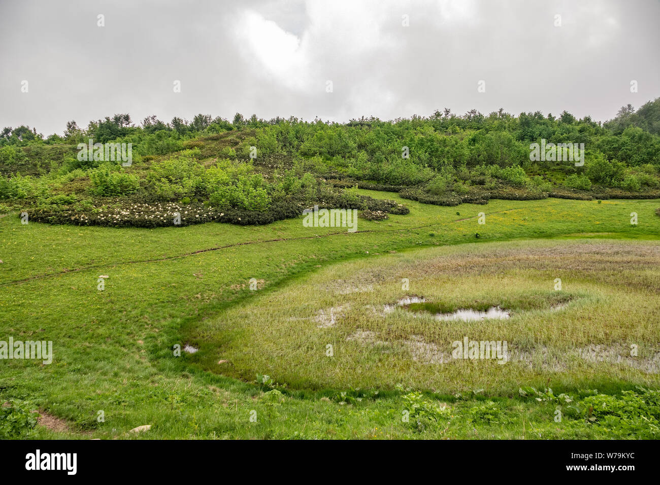 Sedge Meadow High Resolution Stock Photography and Images - Alamy
