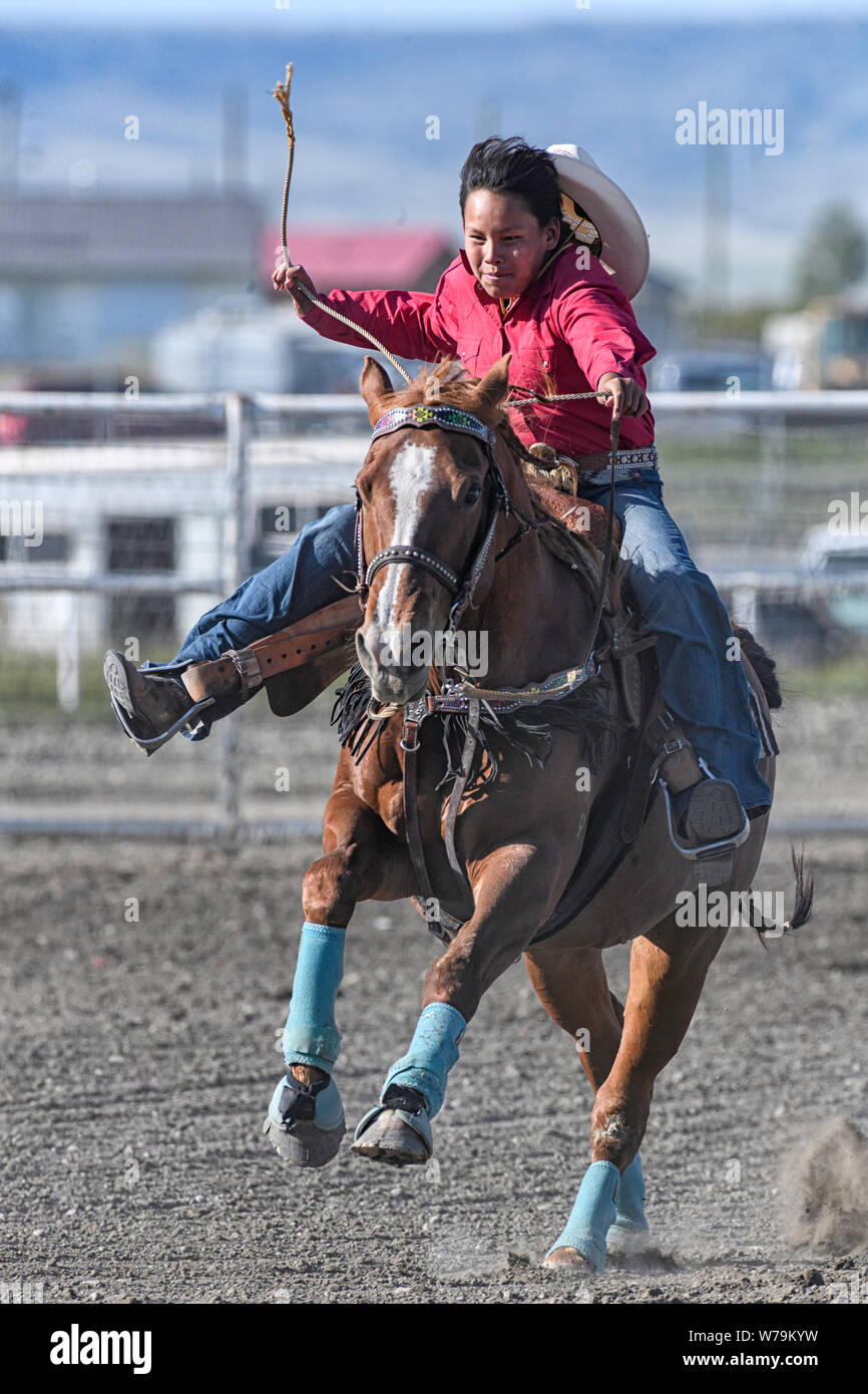 Barrel race hi-res stock photography and images - Alamy