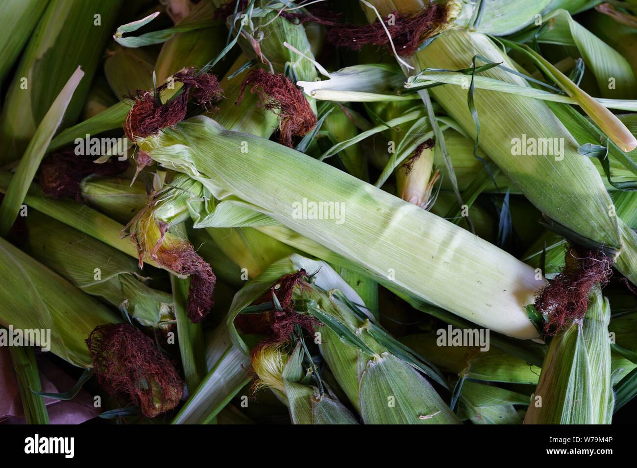 Corn in the husk hi-res stock photography and images - Alamy