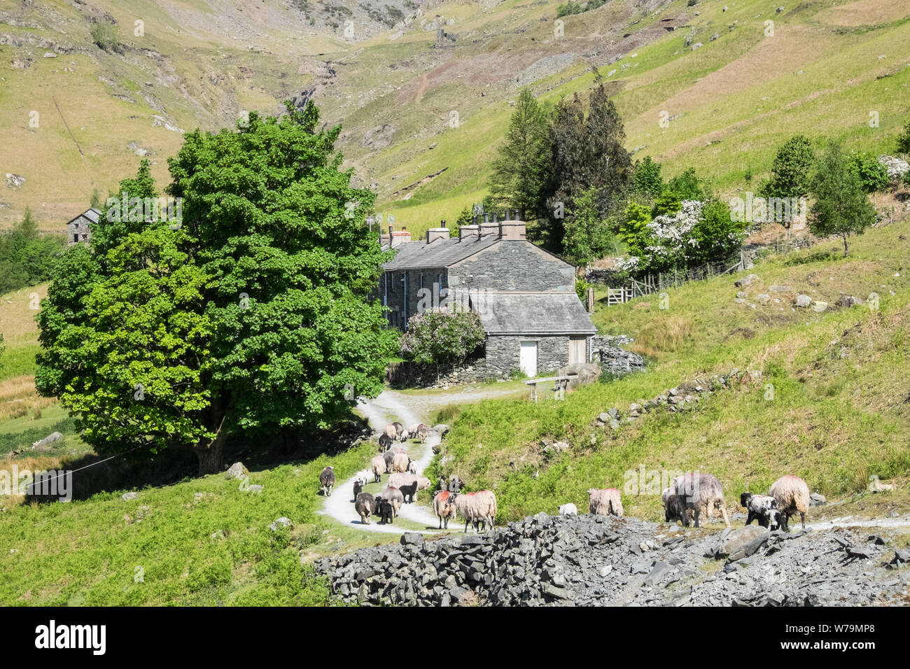 Coniston copperworks valley hi-res stock photography and images - Alamy