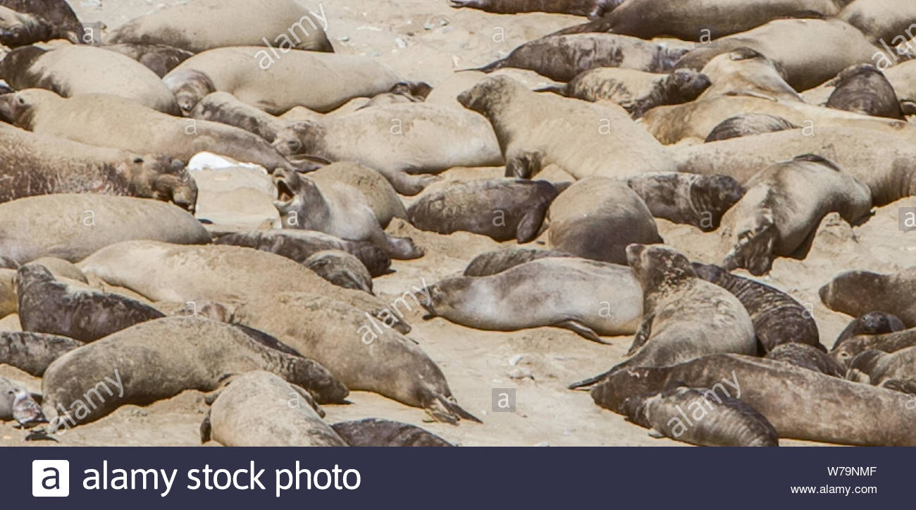 Baby Crying Beach High Resolution Stock Photography and Images - Alamy
